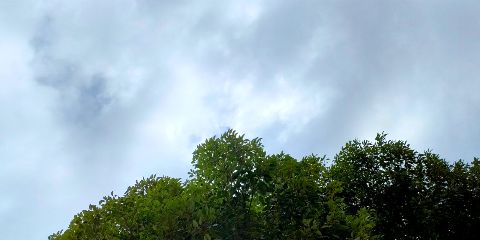 中級8 3：学校が終わって家に帰る途中に雨が降りそうな降らなそうな感じでした トミのオンライン【韓国語ショップ】